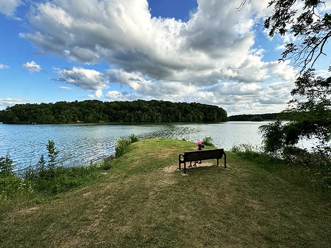 A perfect bench with a view! Lake Macbride offers front-row seats to nature's greatest show &ndash; no ticket required.