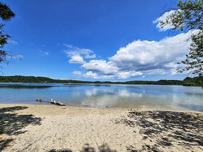 Crystal-clear waters meet golden sand at Nickerson State Park's kettle ponds, offering a Maine-like escape right on Cape Cod.