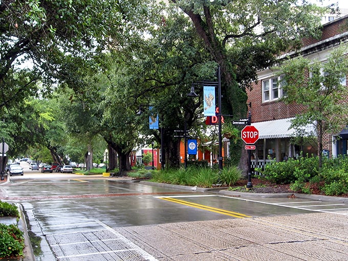 
The stately municipal building stands proud with Mississippi flags waving, like a Southern gentleman who still believes in dressing for dinner. 