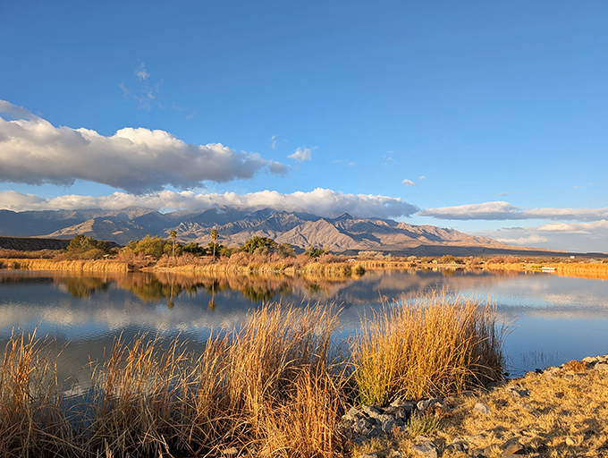 Sunset magic at Roper Lake, where mountain reflections create nature's most perfect mirror selfie.