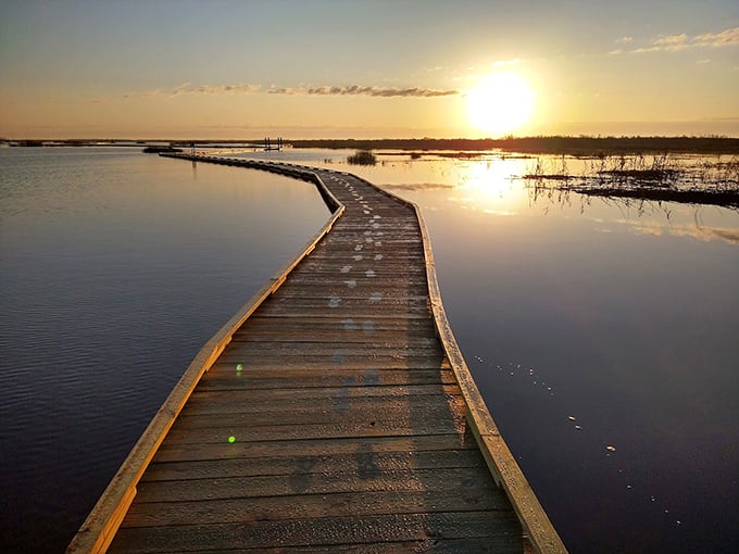Sea Rim State Park: A wooden boardwalk snakes through marshland at sunset, where sky meets water in a perfect golden mirror.