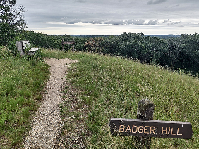 The trail to Badger Hill beckons with promise – nature's stairway to a Minnesota panorama that'll make your heart skip.