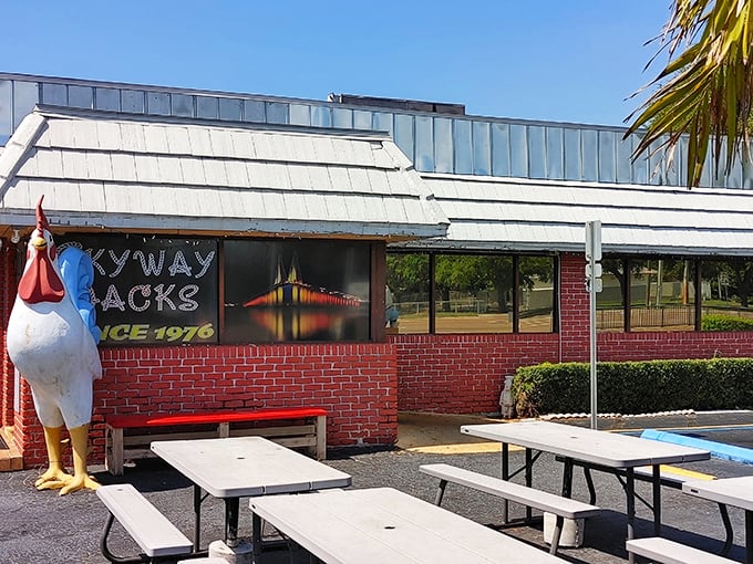 Skyway Jack's iconic chicken statue stands guard outside this St. Petersburg institution, where breakfast dreams come true since 1976.
