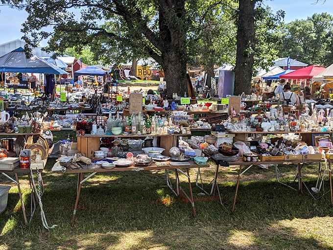Tables laden with treasures under shady trees &ndash; where one person's forgotten knick-knacks become another's prized collection!
