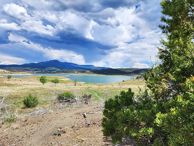 Trinidad Lake stretches like a blue ribbon between dusty hills. Nature's watercolor masterpiece changes with every passing cloud.