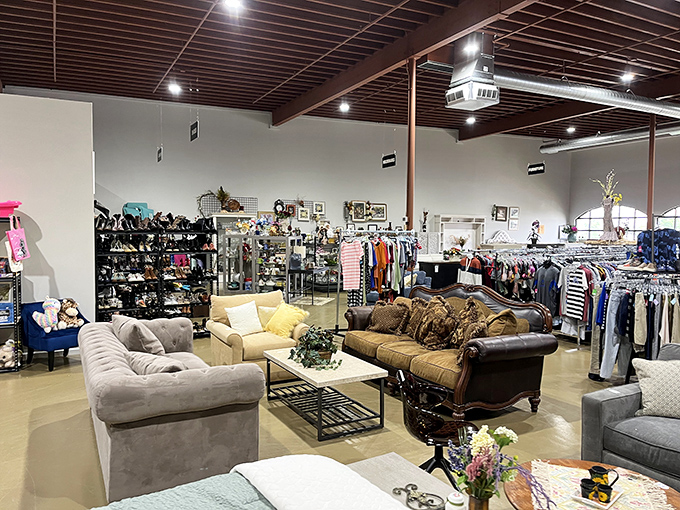 Furniture paradise! This isn't your grandma's thrift store—sleek couches and stylish coffee tables await at prices that'll make your credit card sigh with relief.