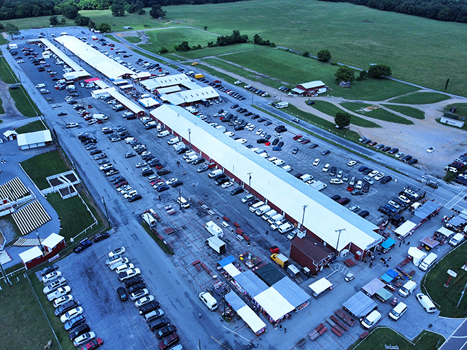 From above, Cowtown looks like a bargain hunter's Disneyland &ndash; complete with parking that rivals the mall at Christmas.