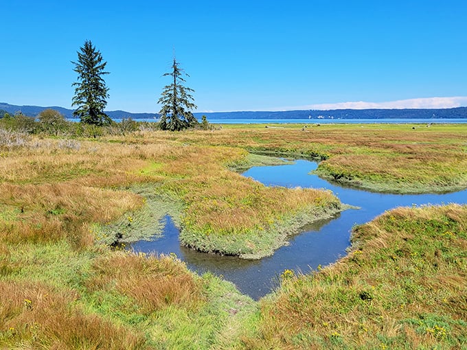Nature's watercolor palette on display as wetlands and mountains create the perfect morning scene for wildlife watchers.