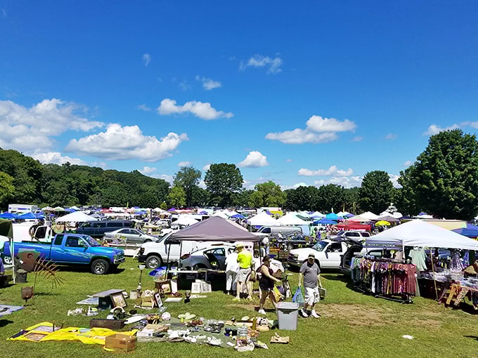 Early birds with eagle eyes scout for deals across the sprawling field. Every table holds potential treasures waiting to be discovered.