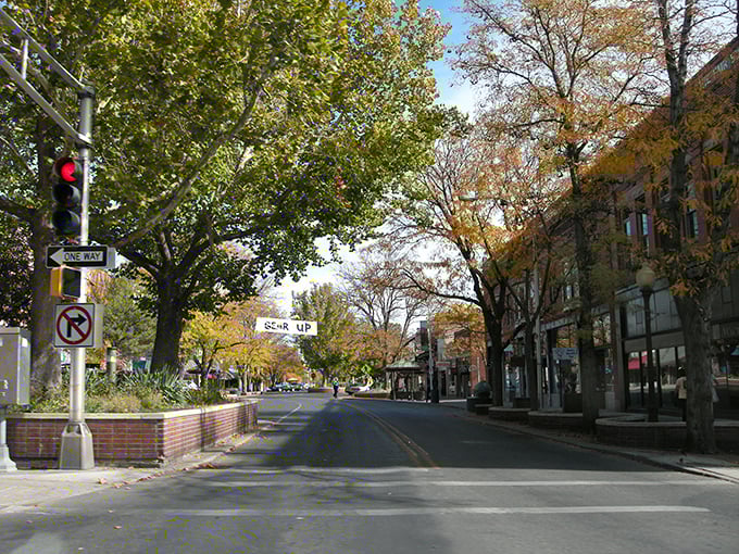 Fall colors transform Grand Junction's main street into a golden gallery. Perfect for afternoon strolls when your wallet needs a break.