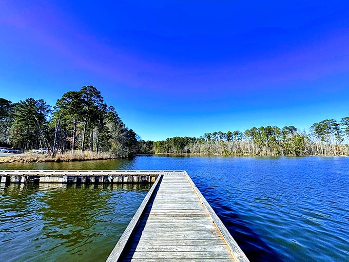 Where golden hour feels like winning the nature lottery. This tranquil lake view makes you forget scrolling through your phone.