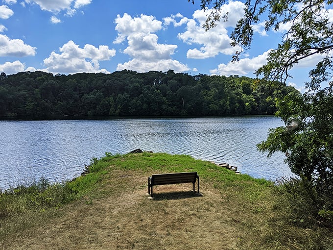 Solitude with a splash of blue. This lakeside bench might be Iowa's most peaceful spot for watching clouds dance across the water.