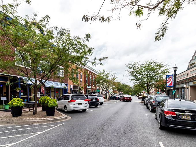 Lewes' tree-lined Main Street offers the perfect retirement stroll. Window shopping here feels like stepping into a Norman Rockwell painting with better coffee options.