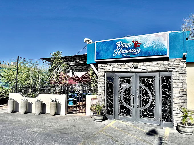 Palm trees and string lights create the perfect backdrop for enjoying Playa Hermosa's fresh seafood&mdash;like finding a coastal oasis in Phoenix.