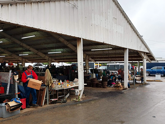 Like a scene from a shopper's dream sequence &ndash; endless aisles of possibilities under one giant roof.