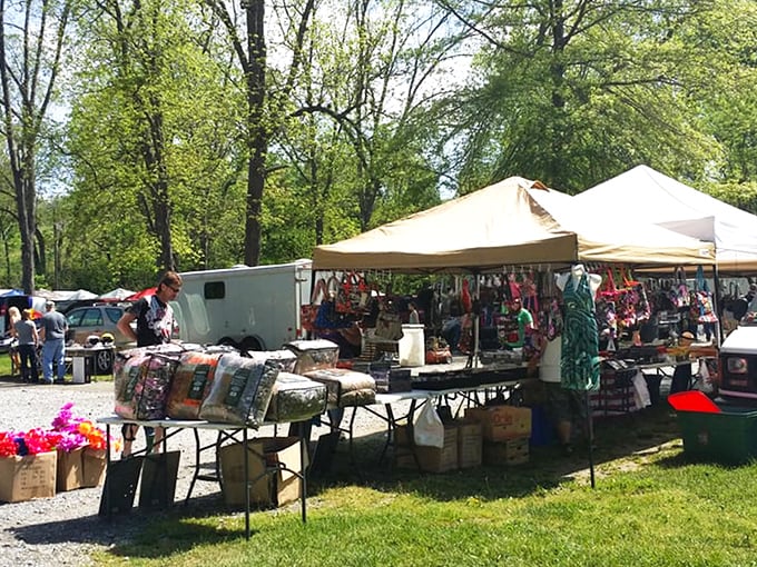 Weekend wonderland of bargains. Tents and tables stretch across the grounds at Pence Springs, where shoppers hunt for hidden gems under spring skies.