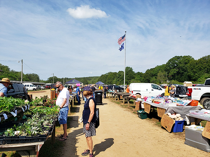 Under rustic wooden beams, early birds with flashlights hunt for deals while vendors arrange their wares like museum curators of the everyday.