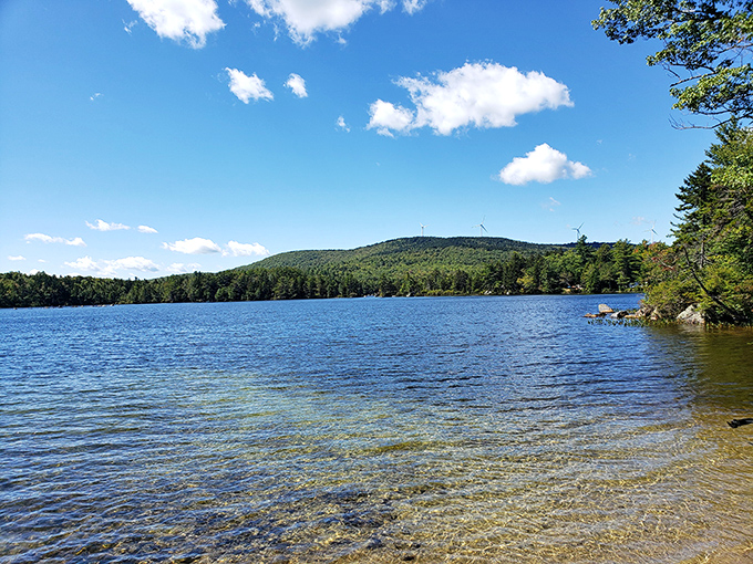 The kind of view that makes you forget your cell phone exists. Pillsbury's shoreline is New Hampshire's best-kept secret.