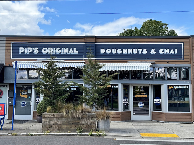 Pip's outdoor seating invites you to savor those mini donuts in the Portland sunshine. Coffee and donuts al fresco! 