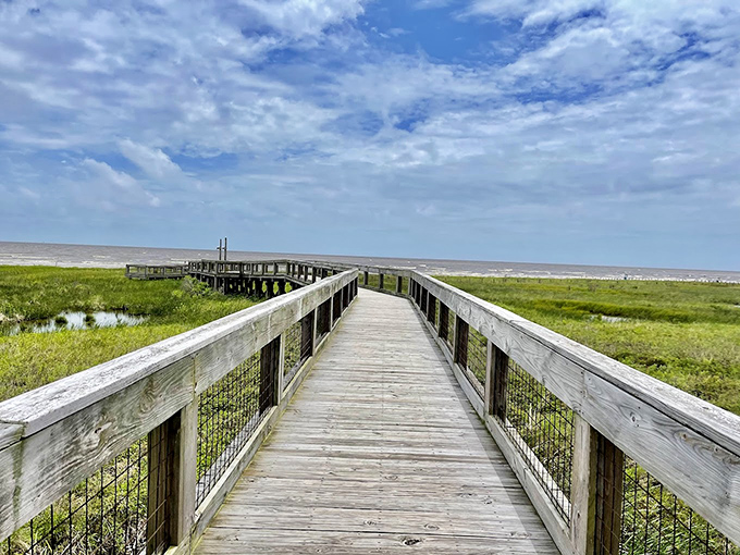 Sea Rim State Park: Beach meets marsh at this coastal gem, where wooden paths guide you through Texas wilderness to pristine shores.