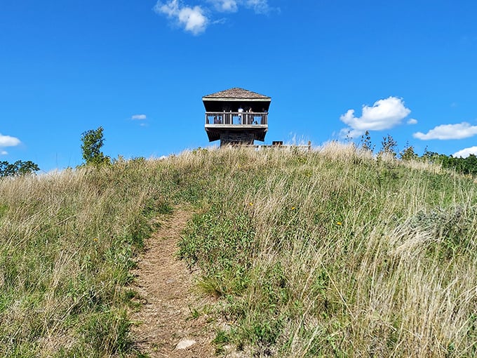 This observation tower stands like a sentry on the prairie hilltop, offering views that'll make you forget to check your phone.