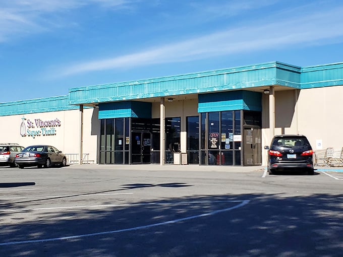 Not all heroes wear capes &ndash; some push shopping carts through St. Vincent's Super Thrift, rescuing vintage treasures from obscurity.