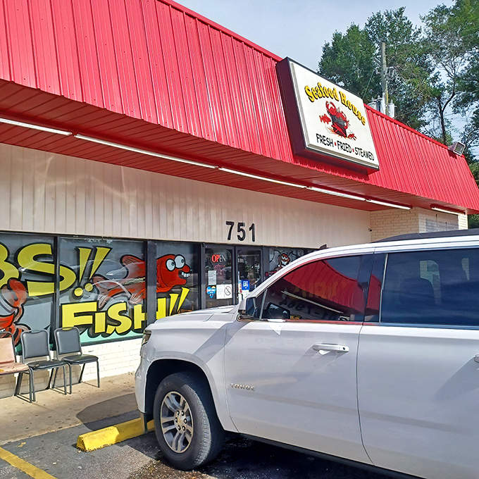 That colorful fish mural isn't just decoration &ndash; it's practically a guarantee that what's inside was swimming yesterday.