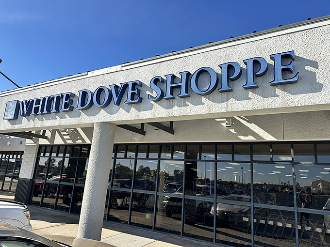 Spacious and organized, White Dove makes secondhand shopping feel like a first-class experience. Bargain hunting with dignity!