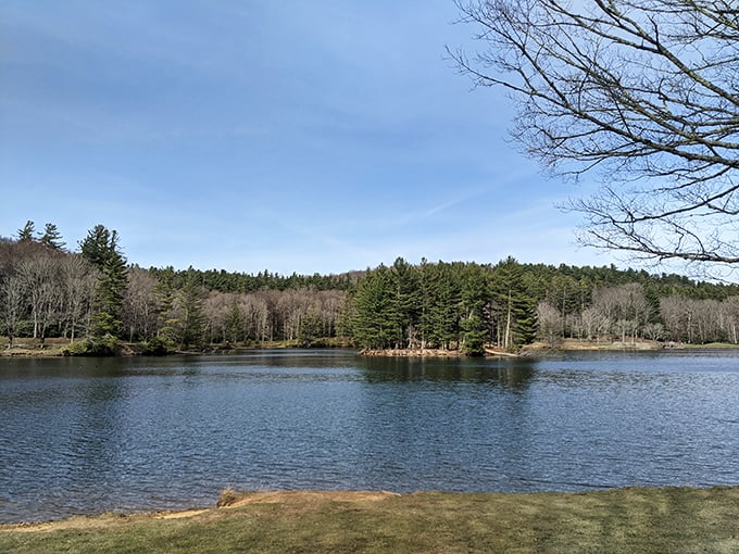 Mirror, mirror on the lake &ndash; the Blue Ridge Mountains admire their reflection in Bass Lake's pristine waters.