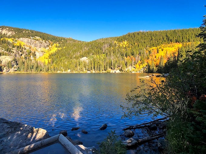 Mother Nature showing off her reflection game at Bear Lake. That mirror-like surface delivers mountain selfies without the selfie stick.