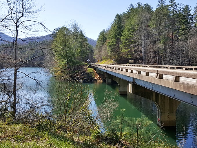 This isn't just any bridge&mdash;it's a portal between everyday life and wilderness serenity, spanning emerald waters that perfectly mirror the surrounding forest.