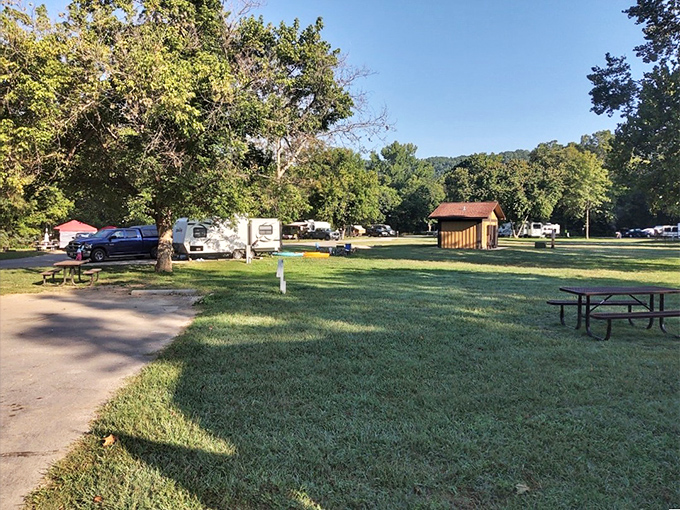 Morning sunlight filters through the trees, painting the campground in dappled gold. Your office cubicle could never compete with this view.