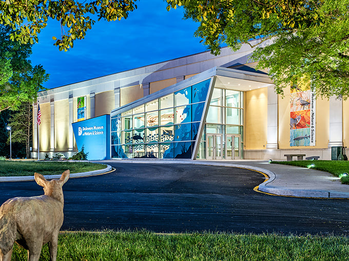 Garden geometry that would make Euclid weep. Nemours Gardens combines mathematical precision with botanical splendor for an Instagram moment before Instagram existed. 