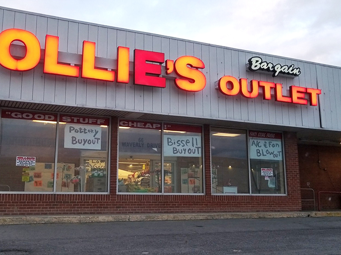 Handwritten window signs announce the latest "BUYOUTS!" with the enthusiasm of a town crier. Each visit brings new treasures waiting to be discovered.