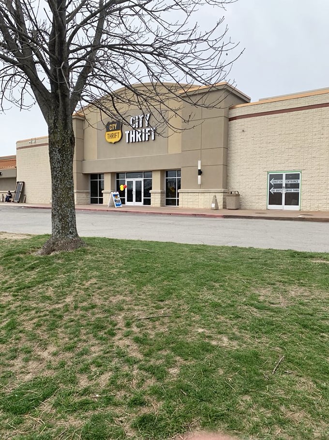 Winter's bare branches frame this thrifter's paradise, where yesterday's castoffs become tomorrow's conversation pieces. The hunt begins at these doors.