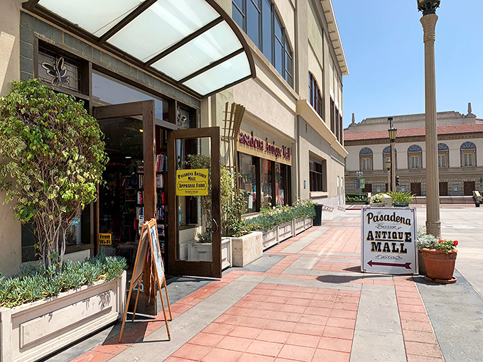A welcoming entrance that beckons curious explorers. That sandwich board might as well say "Abandon all shopping plans, ye who enter here."