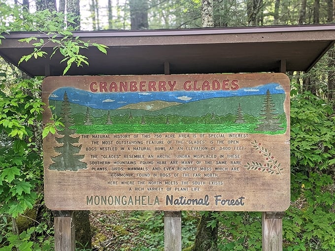 This weathered sign tells a 750-acre story of botanical misfits&mdash;Arctic plants that somehow got the West Virginia address instead of Alaska's.
