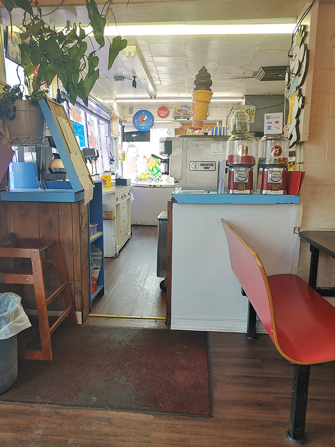 Step inside and time travel to simpler days&mdash;hanging plants, vintage equipment, and the promise of handcrafted happiness await.