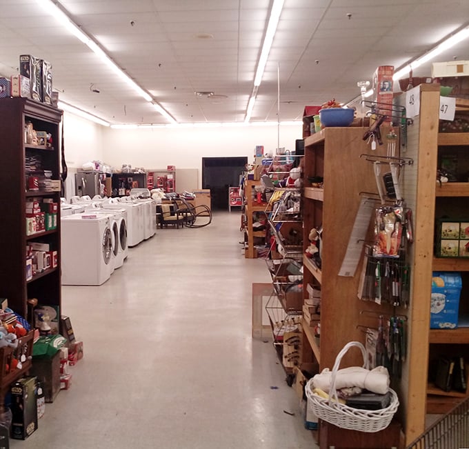 Aisles that seem to stretch into infinity, each shelf telling its own story. This is where household appliances go for their second act in life.