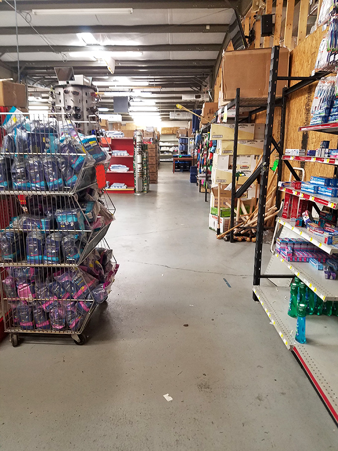 Navigating these aisles feels like a retail safari&mdash;you never know what magnificent deal might be lurking around the next corner.