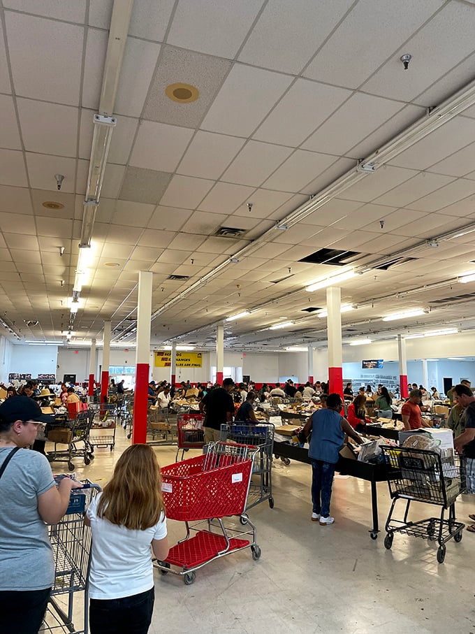 Treasure hunters navigate the no-frills warehouse space where fluorescent lighting illuminates possibilities and red shopping carts become vessels of opportunity.