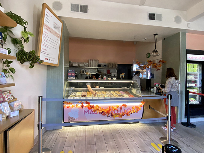 Inside, the "Made with Love" display case showcases frozen treasures. Plants add warmth to the space where happiness is scooped, not sold.