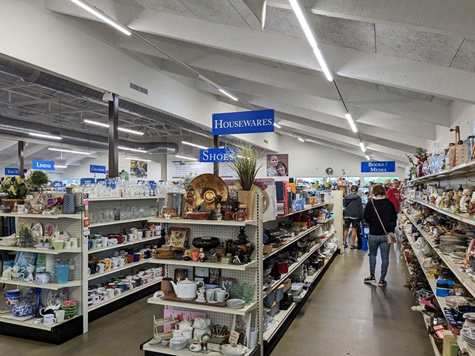 Neatly organized aisles stretch toward infinity, with blue department signs hovering like retail constellations guiding treasure hunters through this thrifting galaxy.