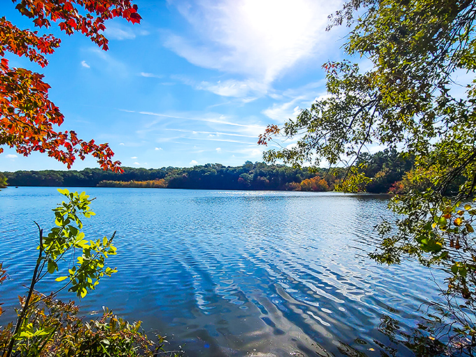 Fall foliage creates nature's perfect frame around the glassy waters. This isn't a painting&mdash;it's just another Tuesday at Killens Pond.