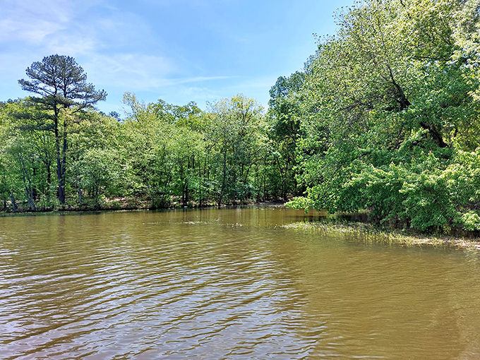 Spring's emerald embrace transforms the shoreline into a lush retreat. Mother Nature showing off her interior decorating skills.