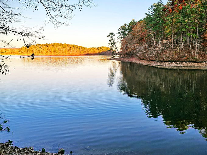 The Ouachita Mountains cradle Lake Catherine like precious jewelry, creating a panorama that no filter could improve.