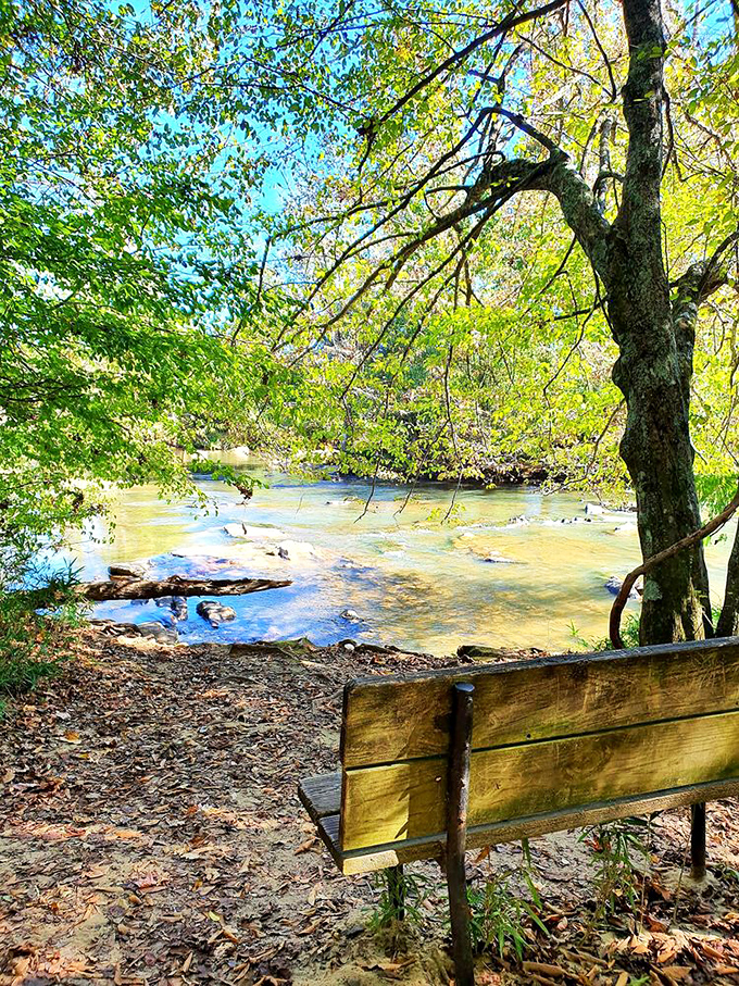Nature's perfect waiting room. This riverside bench practically begs you to sit awhile and let the Catawba River wash away your worries.