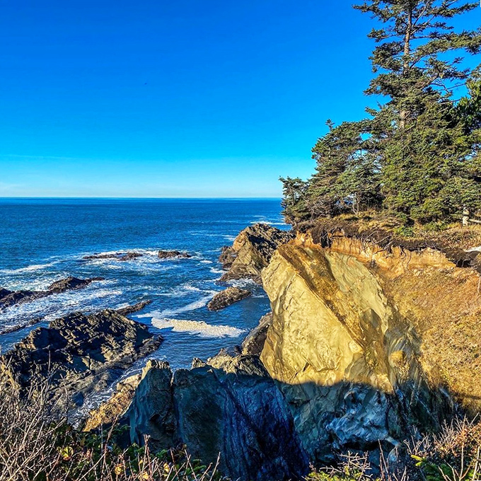 Nature's infinity pool: where forest-topped cliffs meet the endless Pacific, creating a panorama that no smartphone camera can truly capture. 