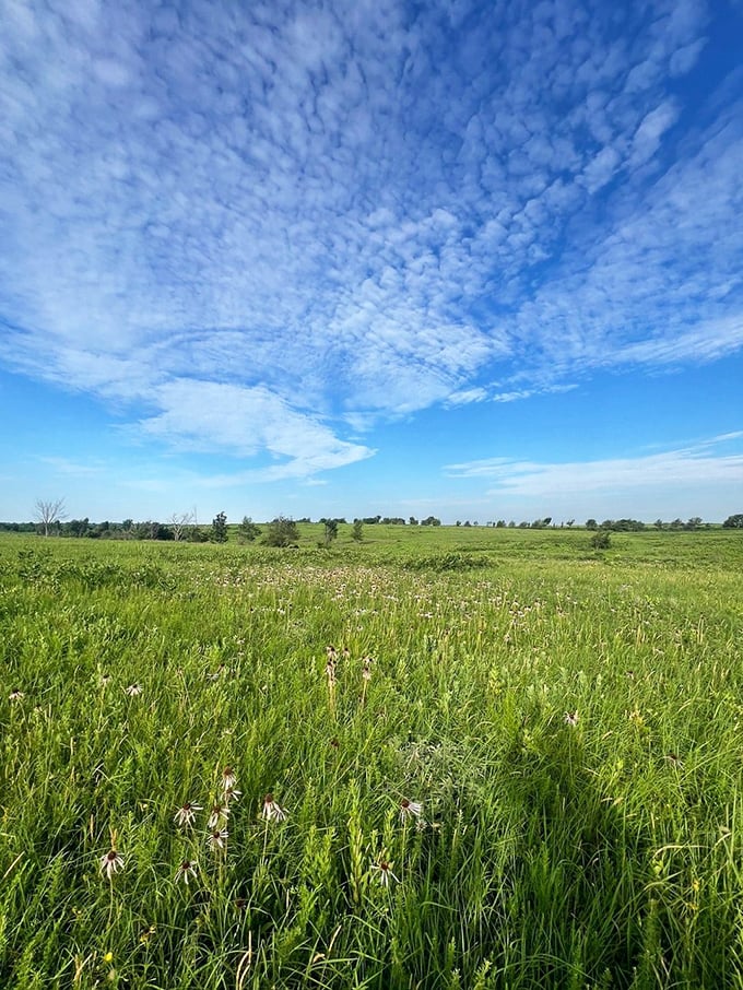 Missouri's big sky country stretches to the horizon, where clouds create a celestial masterpiece above the prairie's green canvas.