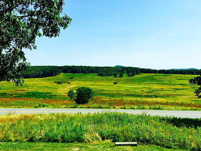 Mother Nature showing off her landscaping skills. This expansive meadow delivers the kind of open-air therapy no psychiatrist could prescribe.